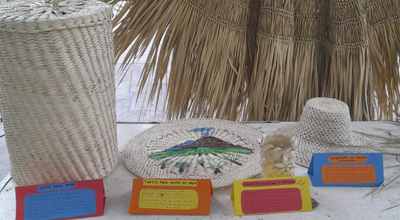 Universidad de Colima