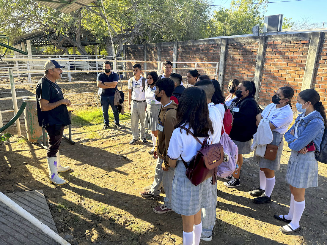 Universidad de Colima
