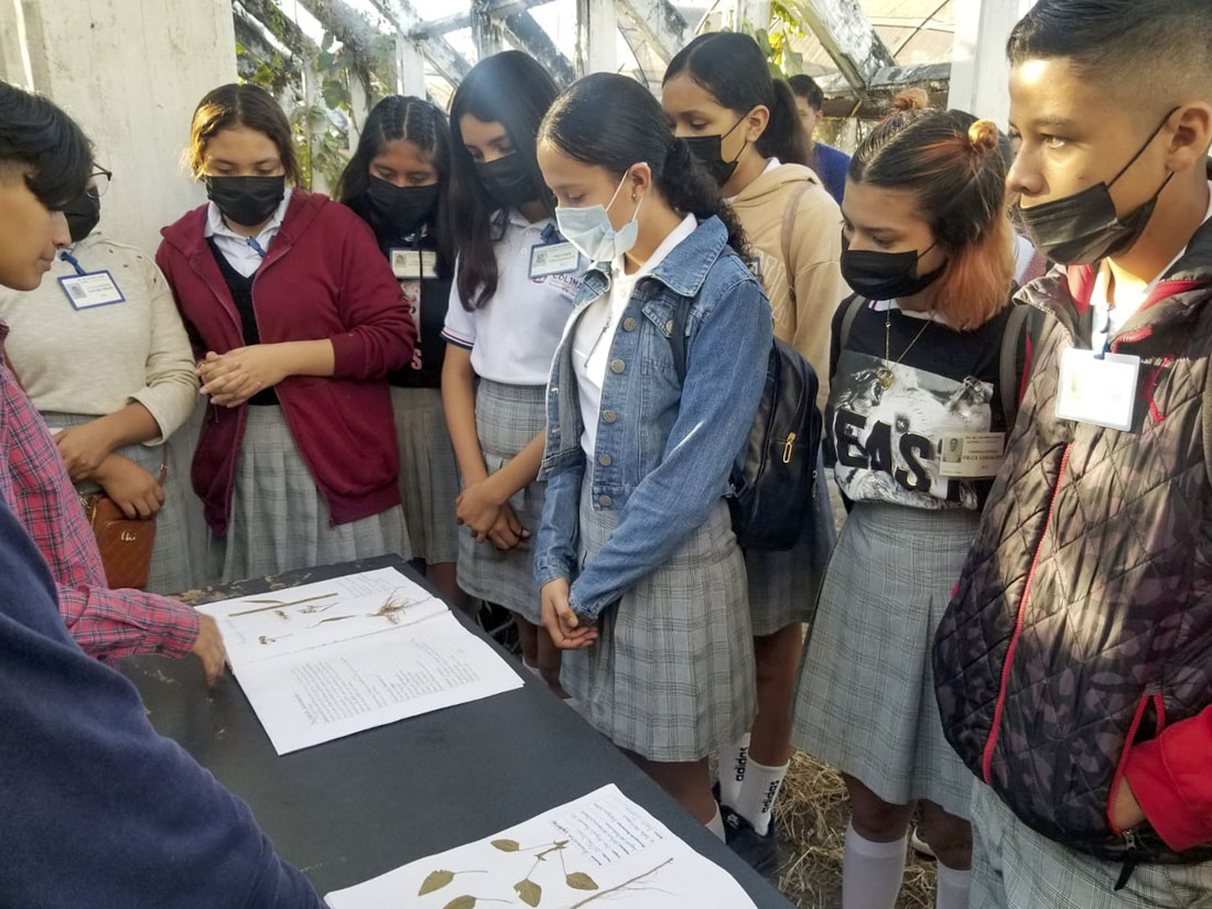 Universidad de Colima