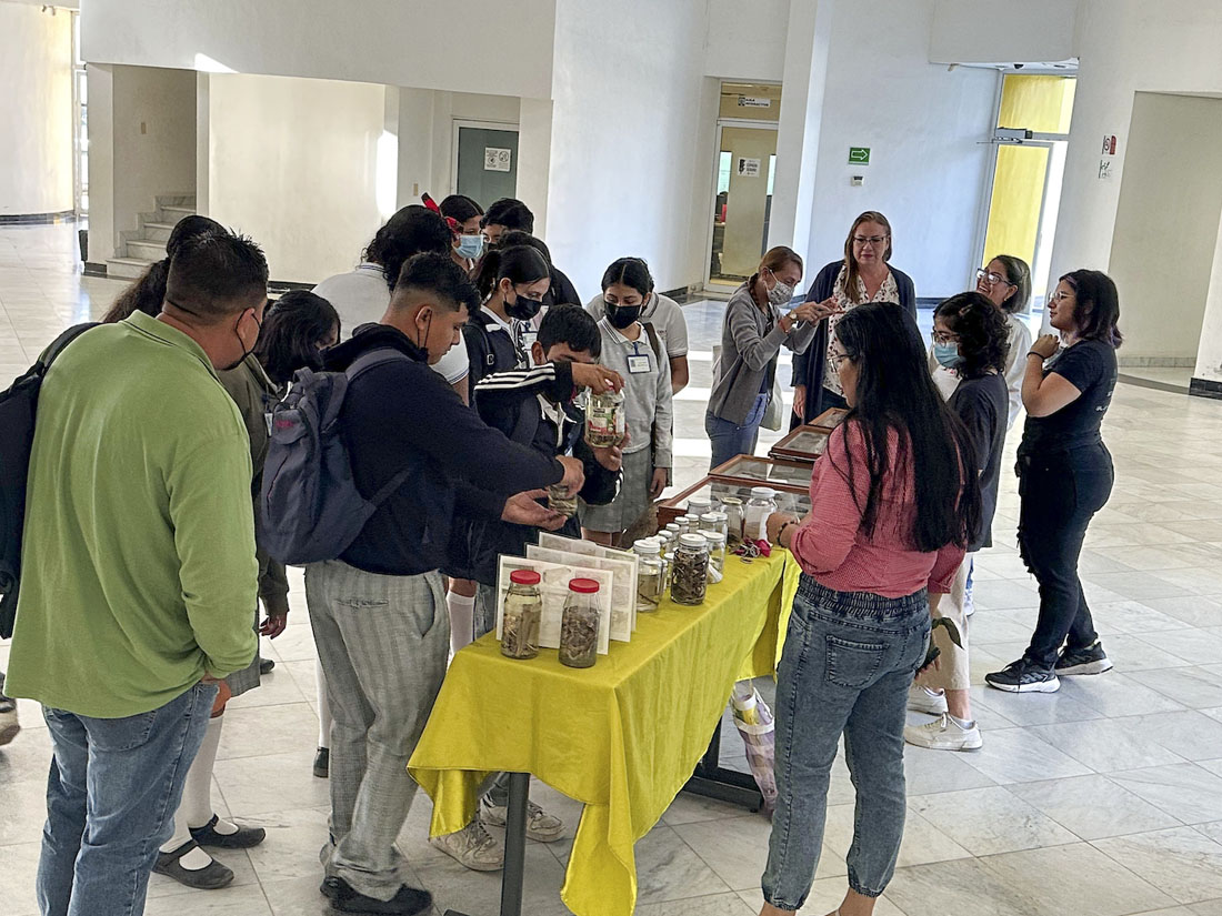 Universidad de Colima