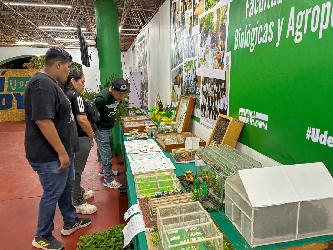 Universidad de Colima