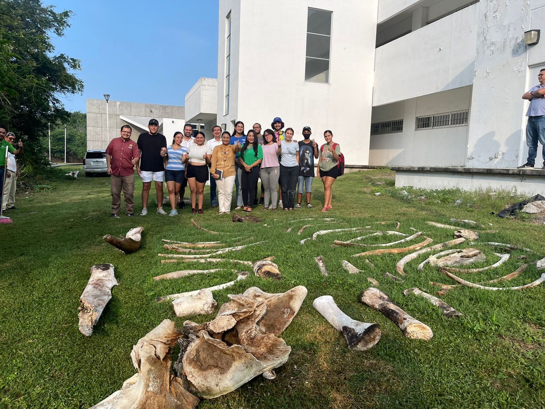 Universidad de Colima